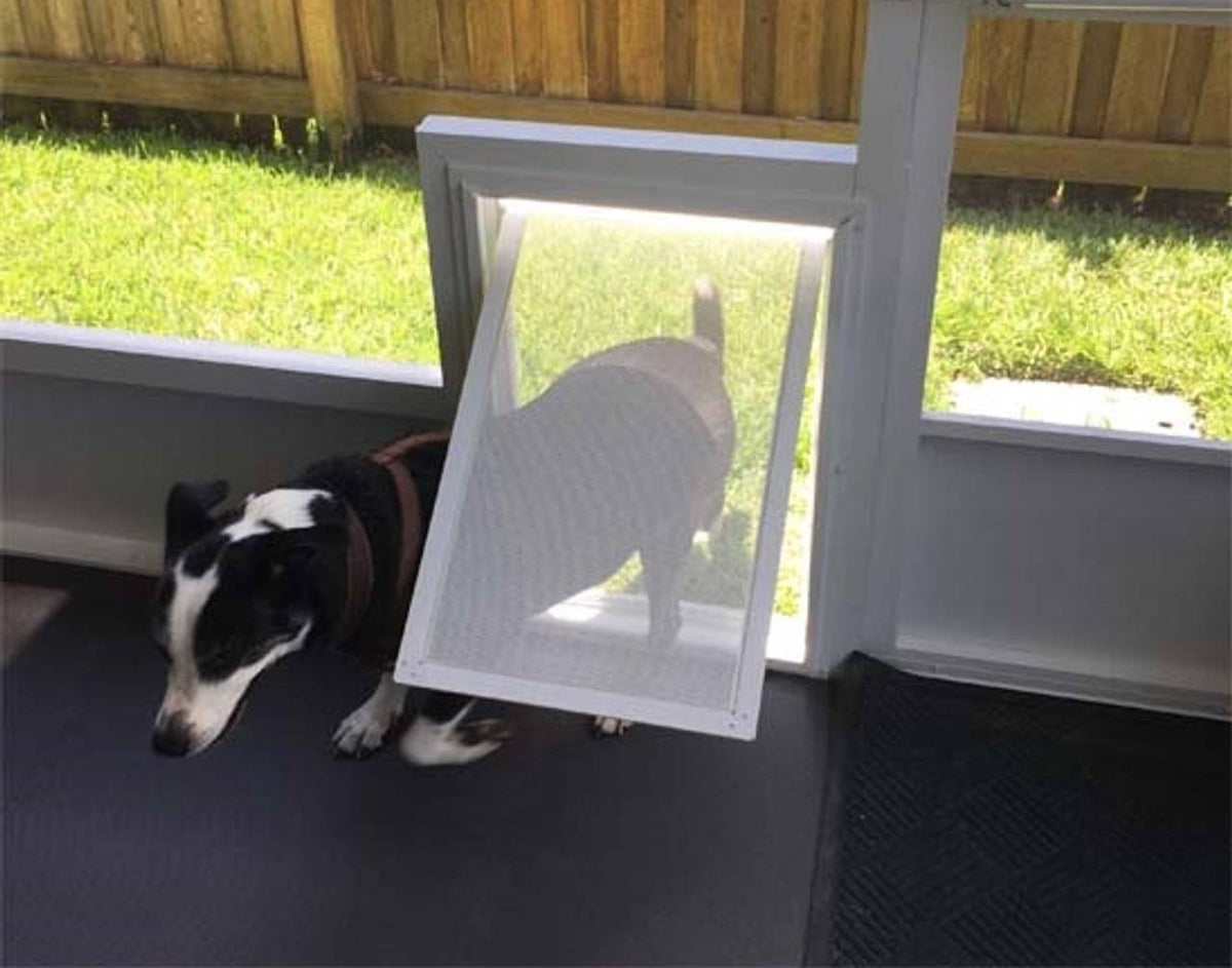 What Are the Best Types Dog Doors: 7 Common Mistakes — Puppy Fever Pro