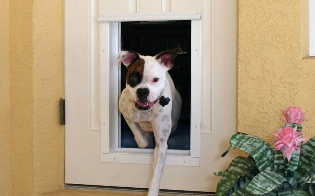 How To Install Dog Doors In A Door | Puppy Fever Pro