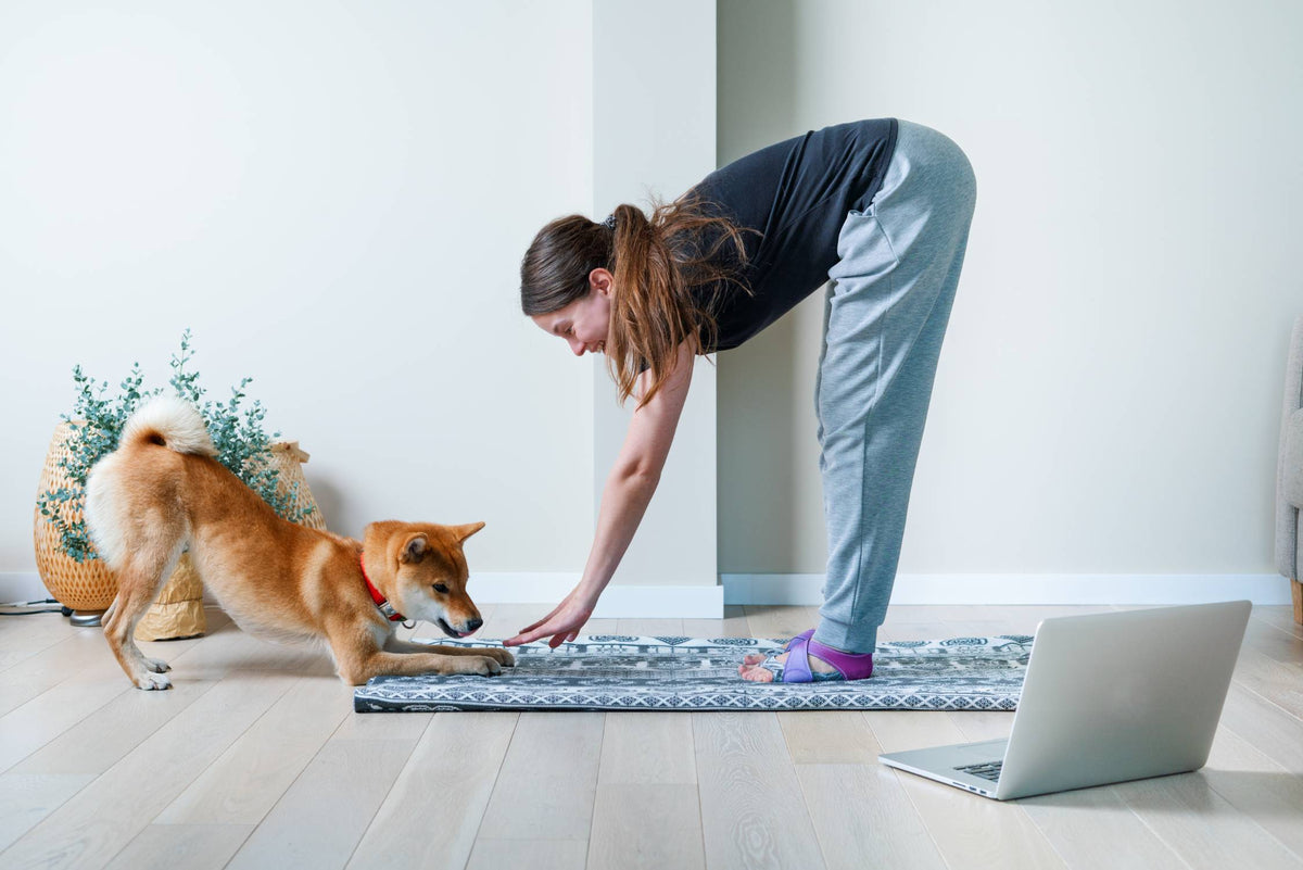 How to Use Meditation for Dogs to Improve Pet Health — Puppy Fever Pro