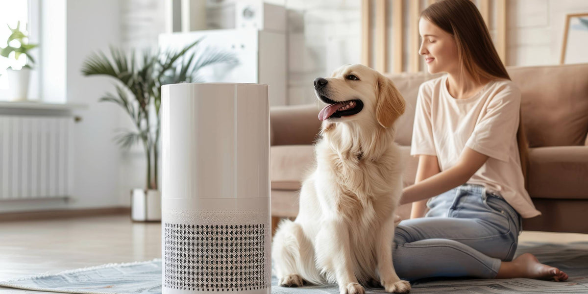 5 Surprising Health Benefits of Air Purifiers for Dogs — Puppy Fever Pro