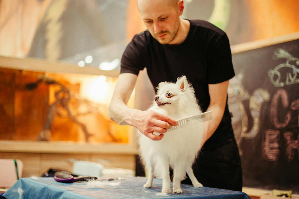 The Ultimate Guide to Dog Grooming at Home | Puppy Fever Pro