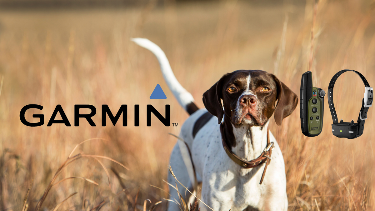 The Definitive Guide to Garmin Sport Pro Dog Collar: Expert Insights ...