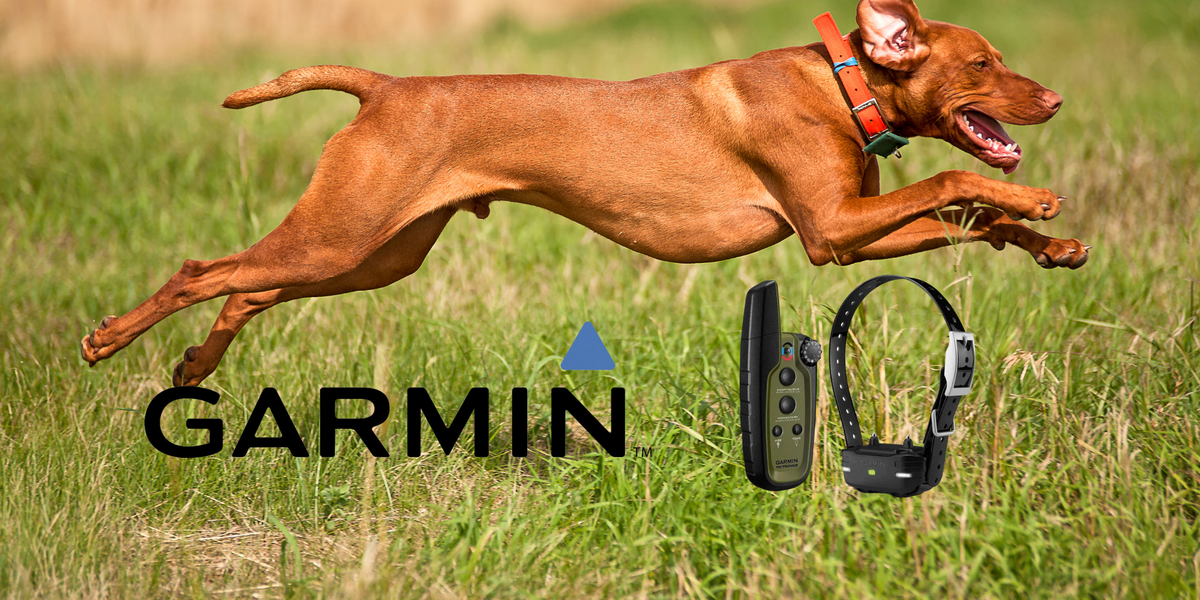 7 Amazing Benefits of the Garmin Dog E Collar You Didn't Know About ...