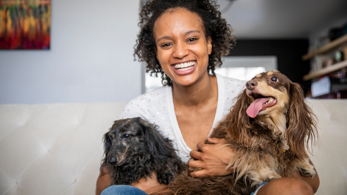 Introducing Your Puppy to Other Pets: A Guide to Successful Introducti ...