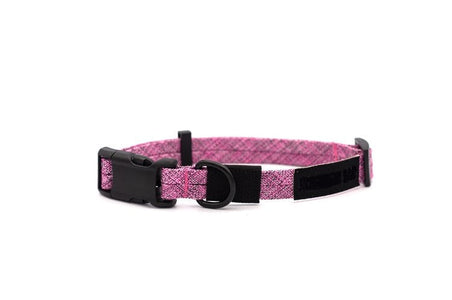 Eurodog Collars Adventure Style Dog Collar — Puppy Fever Pro