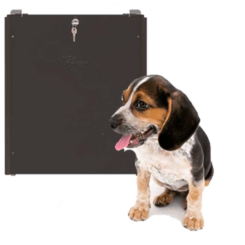 PlexiDor Locking Plate | Dog Door Accessories | Austin, TX — Puppy ...